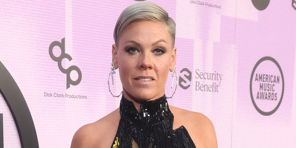 Pink Explains Her Love for Aerial Stunts, Opens Up About the Loss of ...