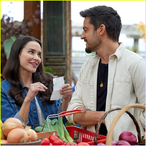 See Hallmark Channel’s March 2023 Full Lineup: Tyler Hynes, Kristoffer ...