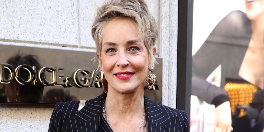 Sharon Stone Lost Custody Of Her Child Because of Her ‘Basic Instinct ...