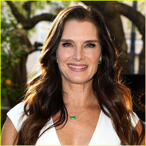 Brooke Shields’ Most Surprising & Shocking Confessions from ‘Pretty ...