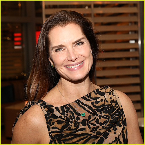 Brooke Shields’ Most Surprising & Shocking Confessions from ‘Pretty ...