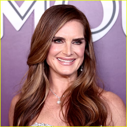 Brooke Shields’ Most Surprising & Shocking Confessions from ‘Pretty ...