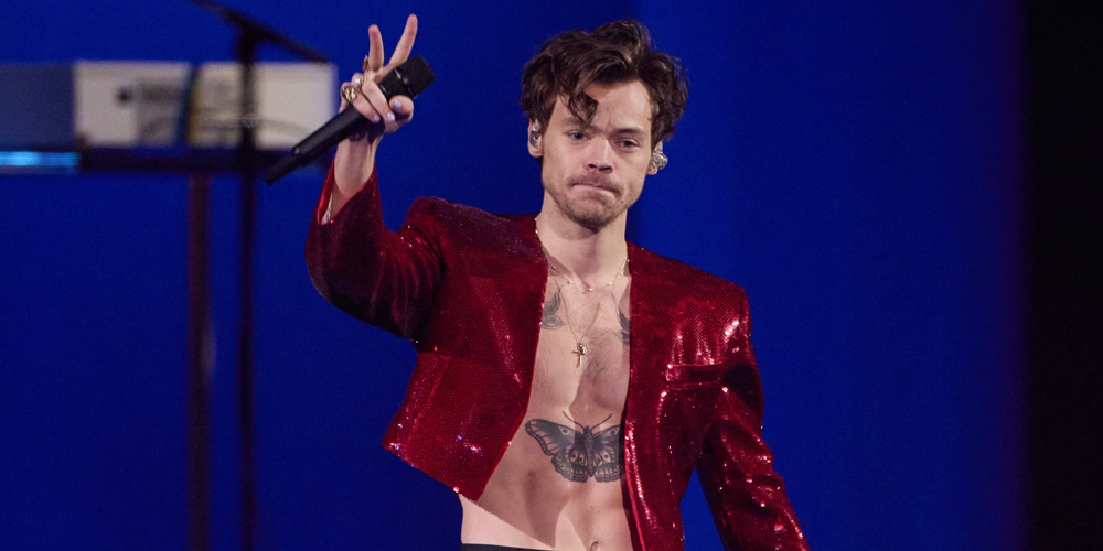 Harry Styles’ Mom Speaks Out About His Rise to Fame & What’s Changed ...