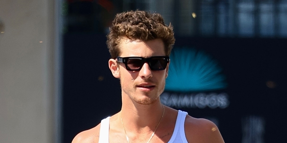 Shawn Mendes Heads Out On a Shopping Trip for Candles in West Hollywood ...