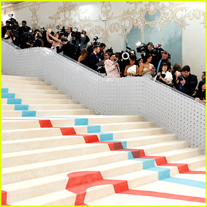 Cockroach Goes Viral After Walking Met Gala 2023 Red Carpet (Video ...