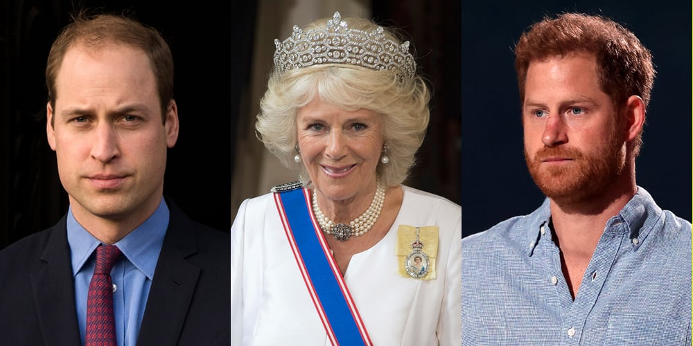 Royal Experts Reveal How Queen Camilla, Prince William & Prince Harry ...