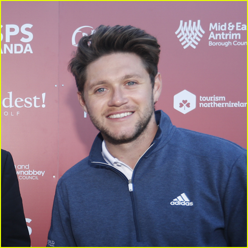 Niall Horan Addresses One Direction Reunion Rumors & Whether He’ll Play ...