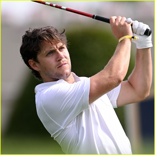 Niall Horan Addresses One Direction Reunion Rumors & Whether He’ll Play ...
