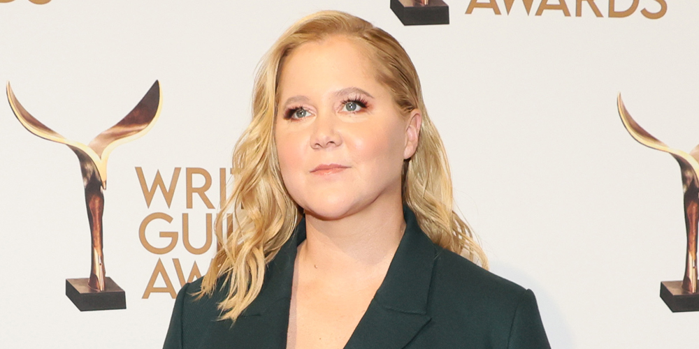 Amy Schumer Memes Herself in Response to Actors Promoting Work at Venice Film Festival Amid ...
