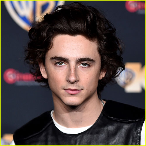 Timothee Chalamet Reacts to Armie Hammer Allegations, Wanting Privacy ...
