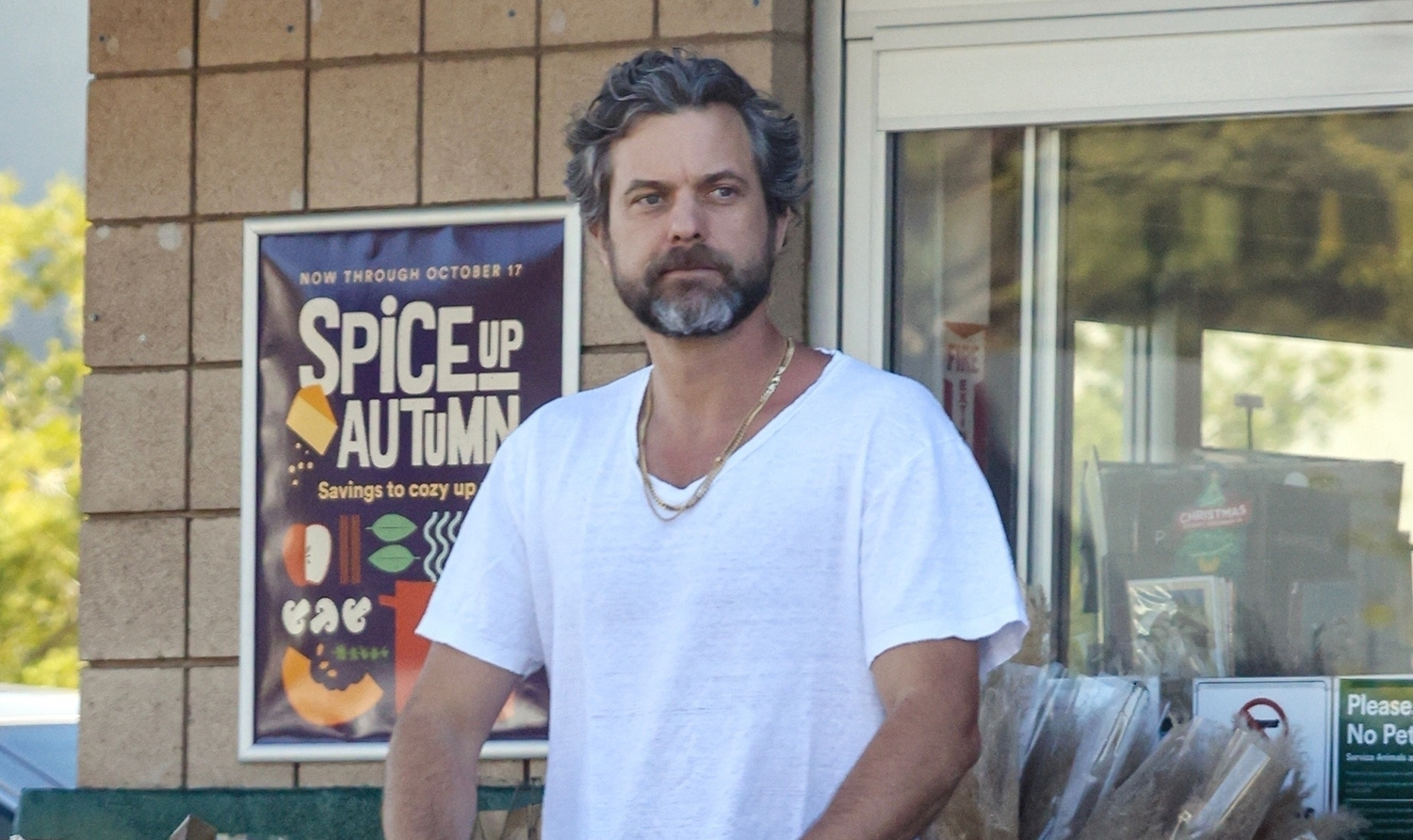 Joshua Jackson Spotted Grocery Shopping in L.A. Amid Split from Wife ...