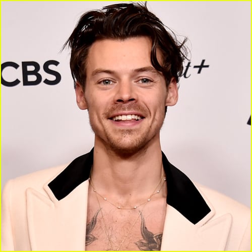 Which One Direction Member is Most Popular? See Them Ranked From Least ...