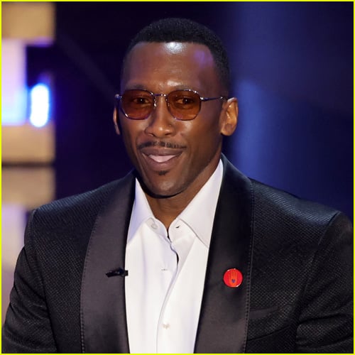 Stars Wearing Red Ceasefire Pins at Oscars 2024 | 2024 Oscars, Ava ...