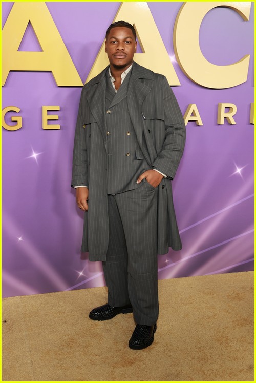 NAACP Awards 2024 – See Photos of More Than 60 Stars in Attendance ...