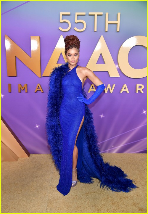 NAACP Awards 2024 – See Photos of More Than 60 Stars in Attendance ...