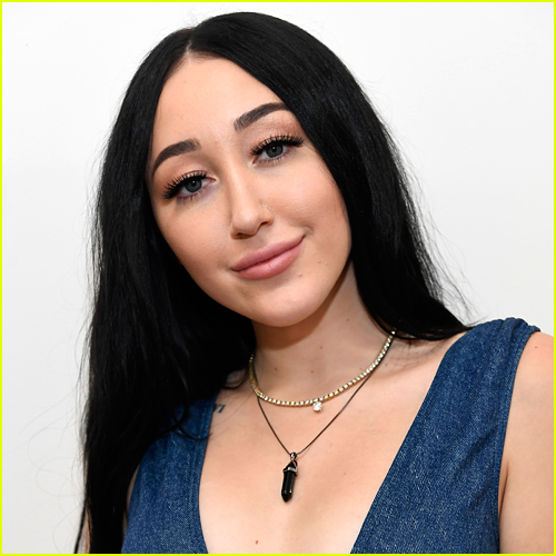 Noah Cyrus & Dominic Purcell: Did Tish Cyrus Know About Them? Was Miley ...