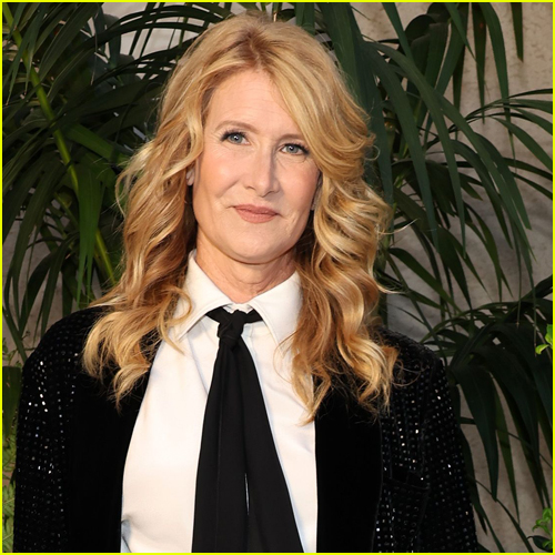 Noah Baumbach Adds So Many Stars to His New Netflix Movie (Including a ...