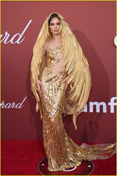 Cher, Demi Moore, & More Legends Attend Star-Studded amfAR Cannes Gala ...