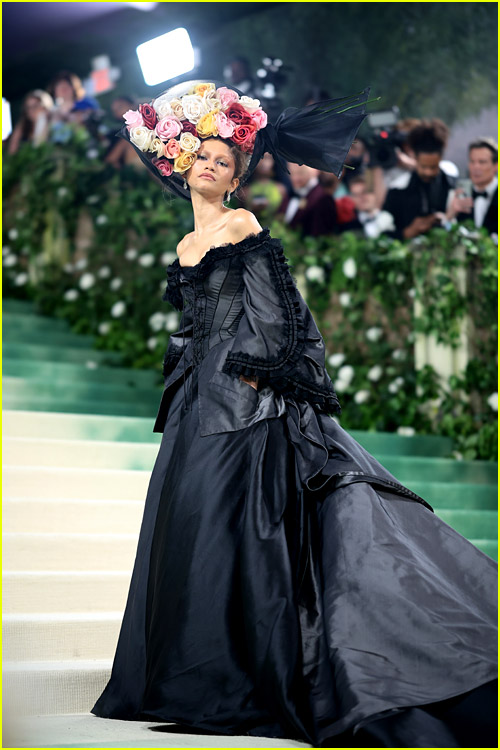 Best Dressed at Met Gala 2024 – Top 25 Red Carpet Looks, Ranked in Order | 2024 Met Gala, Amelia ...
