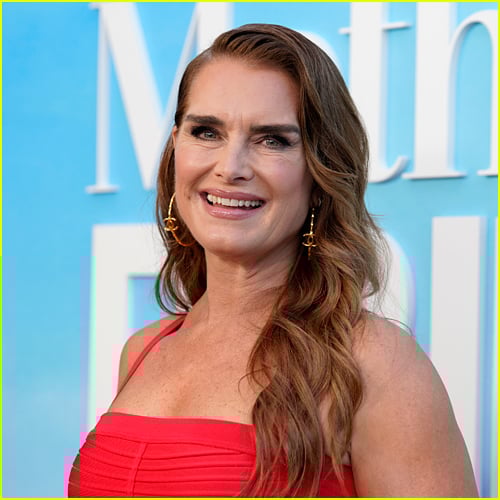 ‘Mother of the Bride’ Cast Ranked by Estimated Net Worth: Richest Actor ...