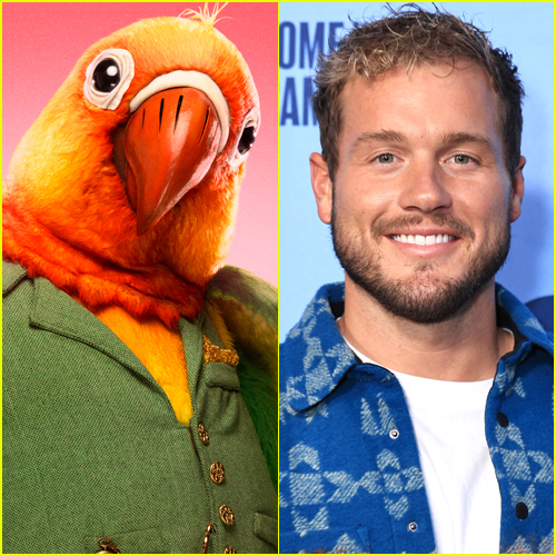 ‘The Masked Singer’ Season 11: All of the Stars Unmasked Ahead of ...