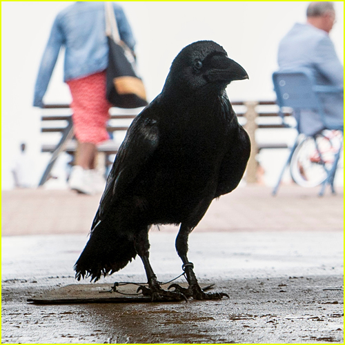 ‘The Sandman’ Season 2 Cast: 14 Actors Returning, 5 Stars Seemingly ...