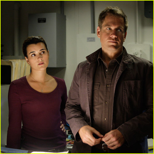 ‘NCIS: Tony & Ziva’ – Everything We Know So Far, Including First Plot ...