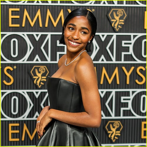 Where Did ‘The Bear’ Actors Get Their Start? Everyone’s First Roles ...