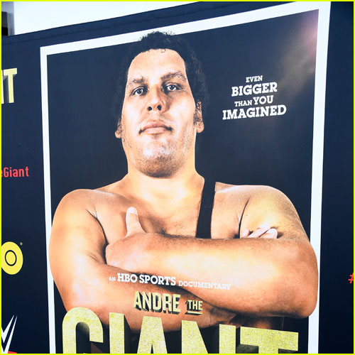 The Best Wrestlers of All Time, Ranked | Andre the Giant, Bret Hart ...