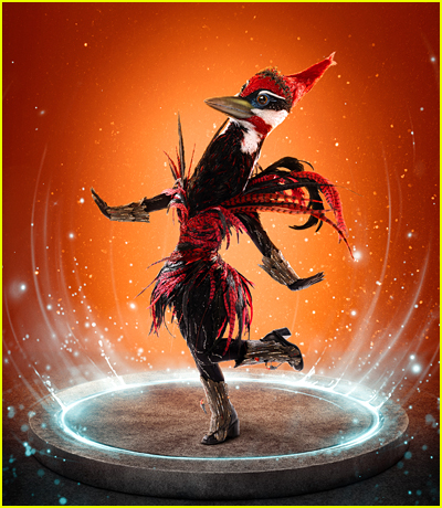 ‘The Masked Singer’ Season 12 – Meet the 10 Masked Contestants! | Fox ...