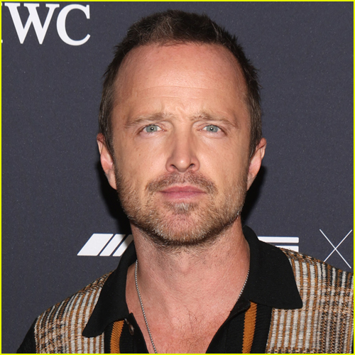 ‘Breaking Bad’ Cast: Where Are They Now? (Two Co-Stars Went Into ...