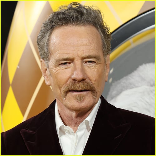 ‘Breaking Bad’ Cast: Where Are They Now? | Breaking Bad, EG, Extended ...