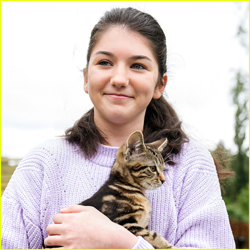 Apple TV+’s ‘Bad Sisters’ Season 2 Cast Revealed: 12 Stars Confirmed to ...