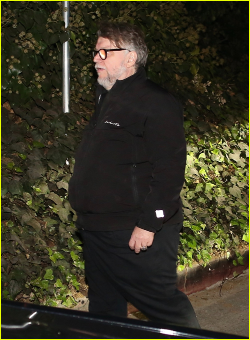 Leonardo DiCaprio’s Star-Studded 50th Birthday Party – Celebrity Guest ...