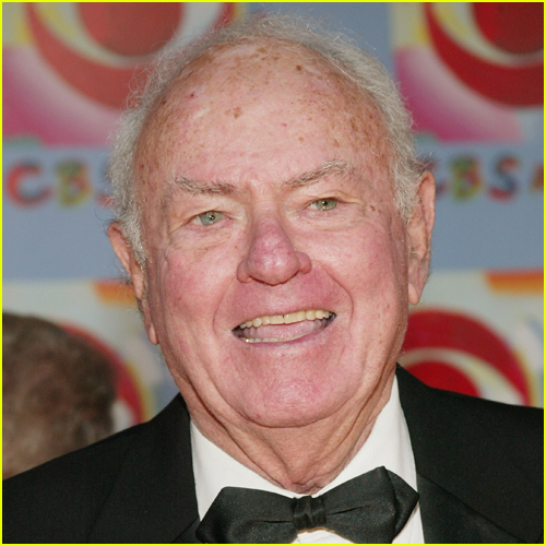 The Richest ‘Jingle All the Way’ Cast Members, Ranked | Arnold ...