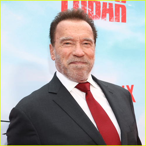 The Richest ‘Jingle All the Way’ Cast Members, Ranked | Arnold ...