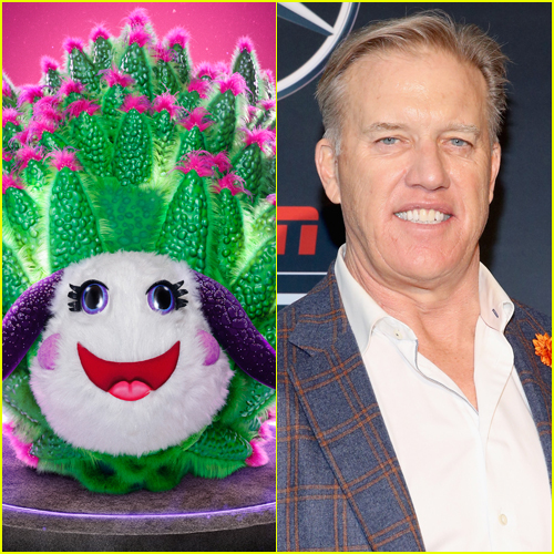 ‘The Masked Singer’ Season 12: All 13 Contestants Unmasked! | Extended ...