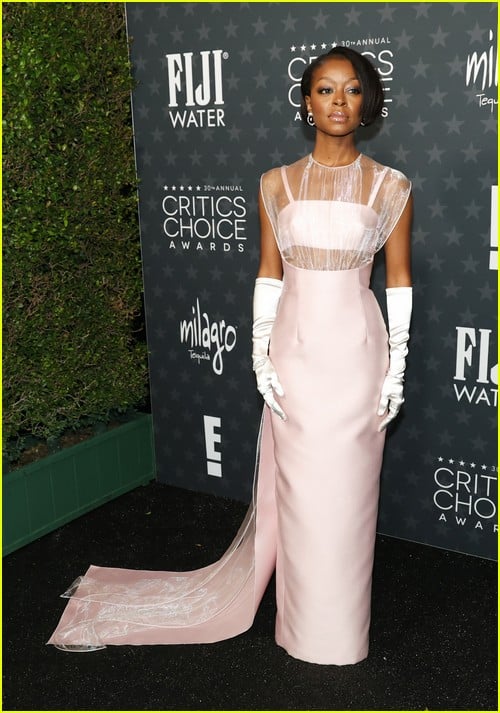 Critics Choice Awards 2025 Red Carpet Photos – See Every Celeb Who ...