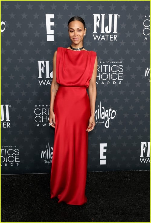 Critics Choice Awards 2025 Red Carpet Photos – See Every Celeb Who ...