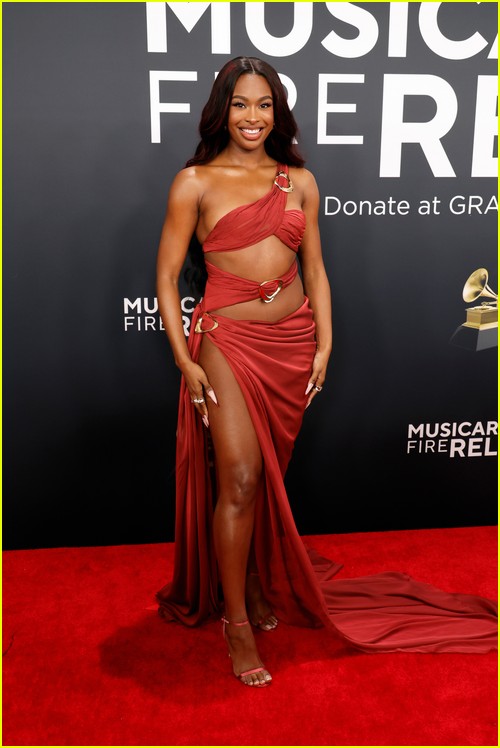 Grammys 2025 Red Carpet Photos: See Every Celeb Who Attended (Full Guest List Revealed!) | 2025 ...