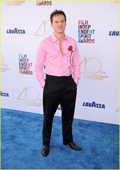 Best Dressed at Independent Spirit Awards 2025 – Top 15 Red Carpet ...