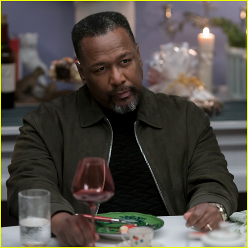 The Richest ‘Elsbeth’ Cast Members, Ranked | Ajay Naidu, Carra ...