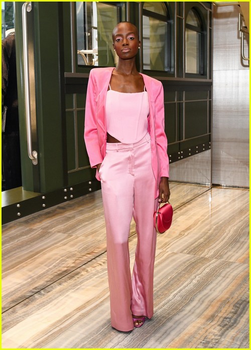 Giorgio Armani Pre-Oscars Party 2025 – See Photos of More Than 40 Stars ...