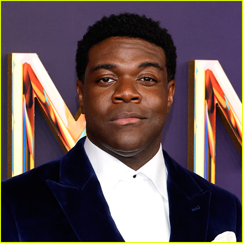 ‘Angry Birds Movie 3′ Cast Revealed: 4 Returning Actors & 12 Stars Join ...