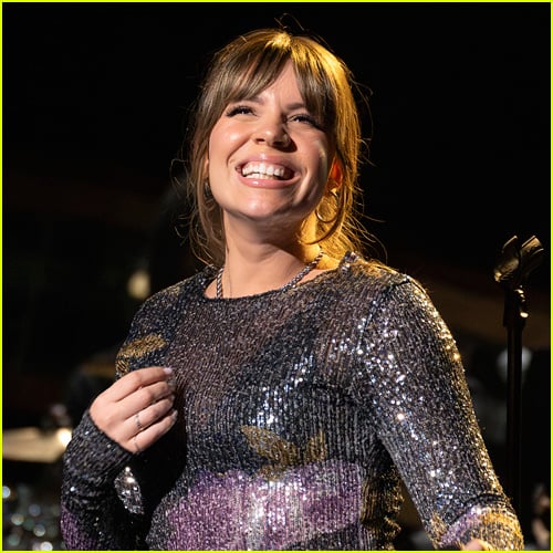 ‘American Idol’ Top 24 Contestants Revealed for 2025, Plus Spoilers On ...