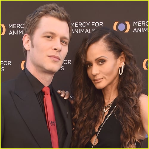 ‘The Vampire Diaries’ Relationships: See All of the Co-Stars That Have ...