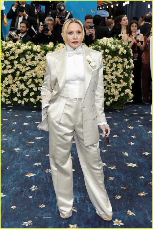 Best Dressed at Met Gala 2025 – Top 32 Red Carpet Looks Revealed ...