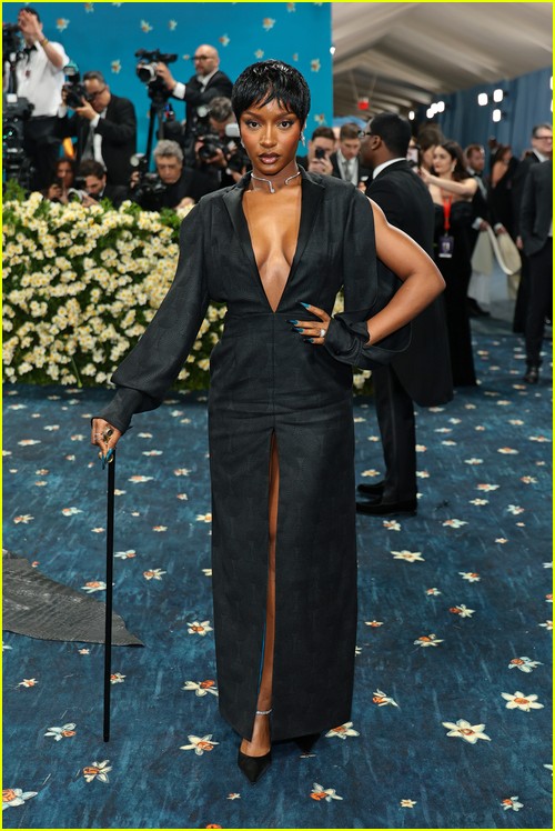 Every Celeb at Met Gala 2025 – See All Red Carpet Photos & Full Guest List (Updating Live All ...