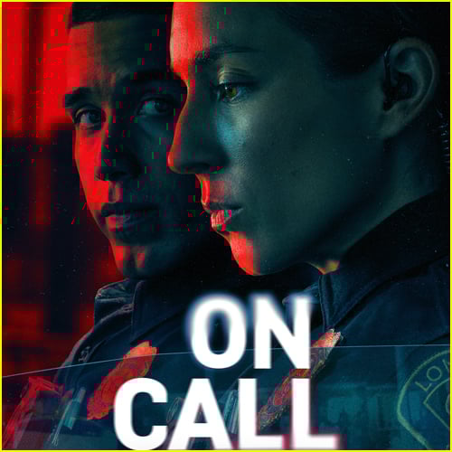 42 TV Shows Canceled in 2025 From CBS, NBC, & More: 3 More Series Axed ...