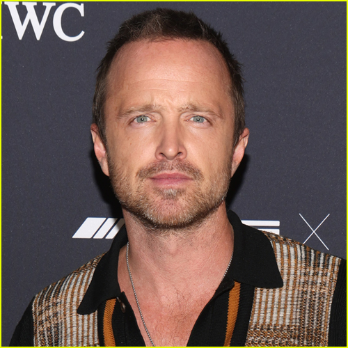 21 Stars That Once Appeared on Reality TV Shows Before Making It Big! | EG, Extended, Reality TV ...